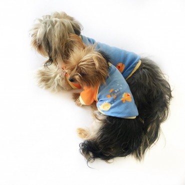 Köpek kıyafetleri köpek elbiseleri pet kıyafet pet elbise